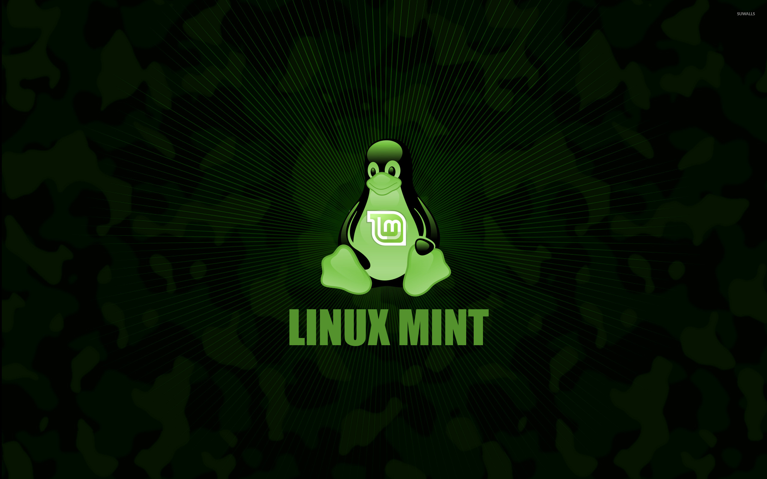 Linux Mint Anime Wallpapers - Wallpaper Cave