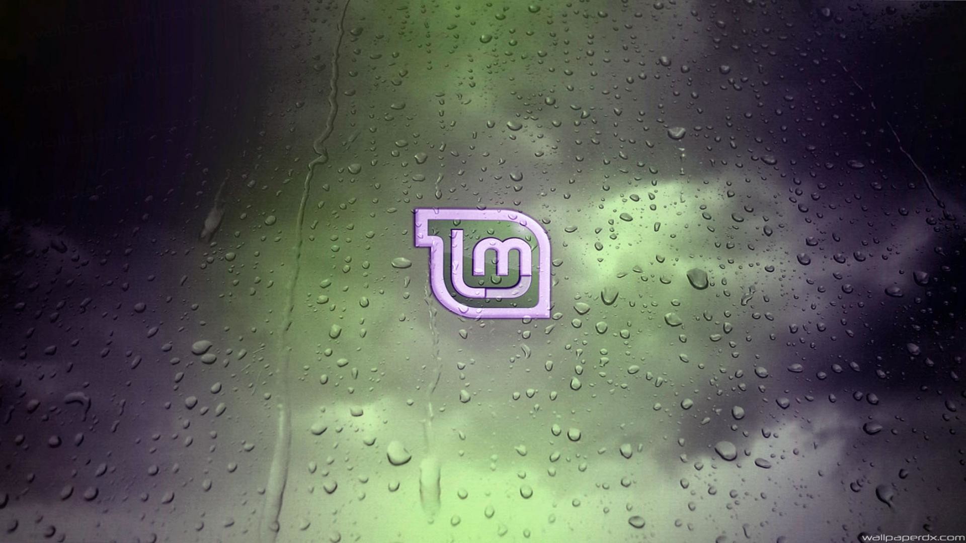 Linux Mint Anime Wallpapers - Wallpaper Cave