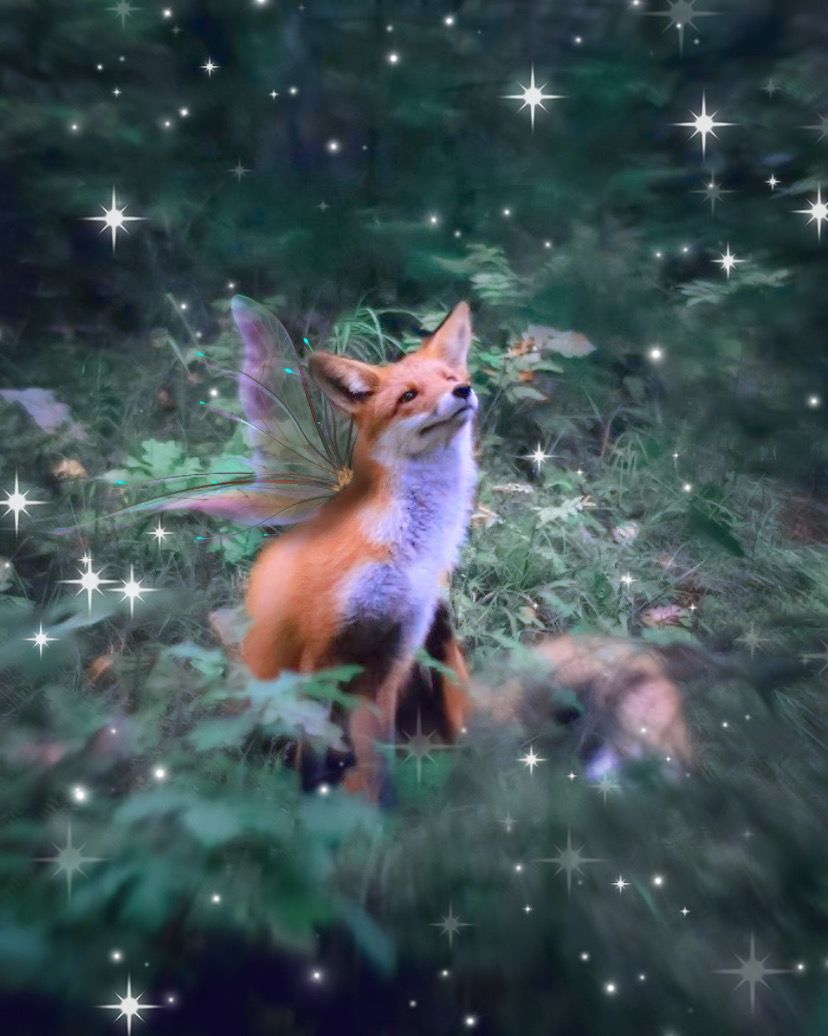 Therian Fox Wallpapers - Wallpaper Cave