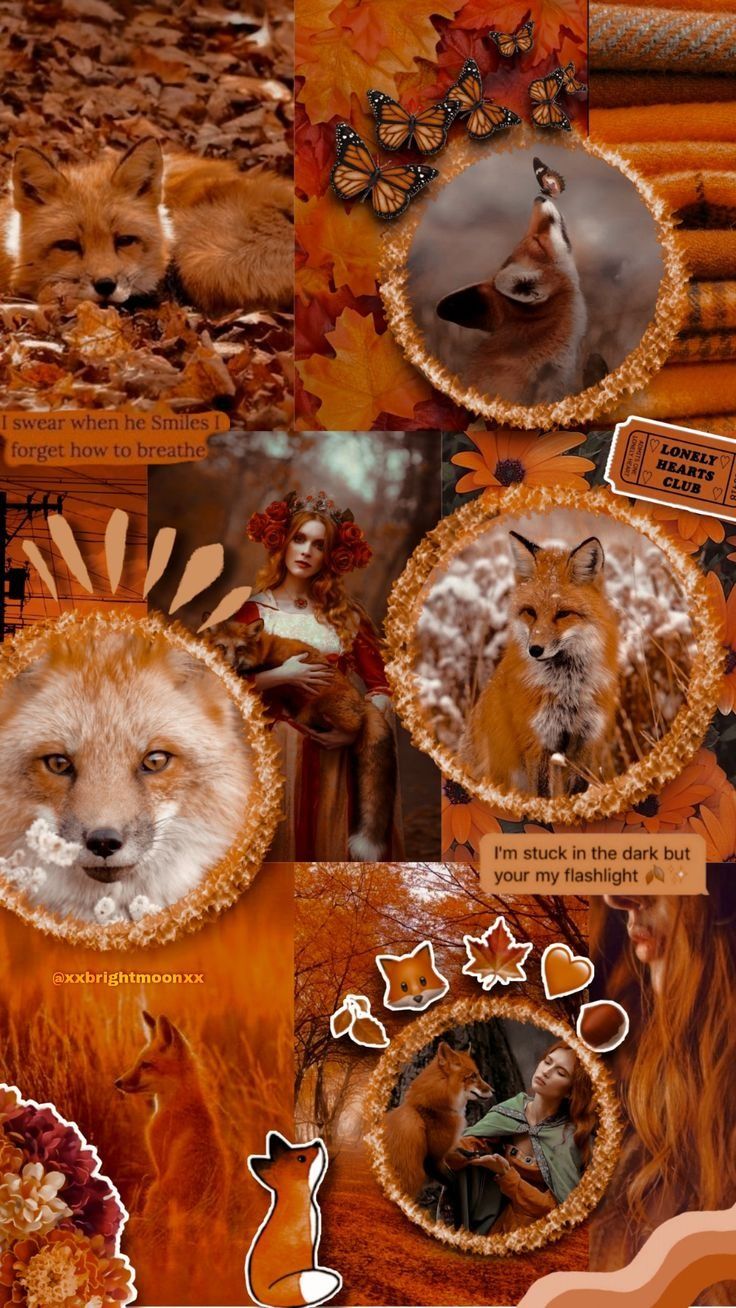 Therian Fox Wallpapers - Wallpaper Cave