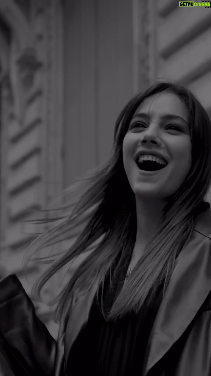 Dilin Doger Wallpapers - Wallpaper Cave