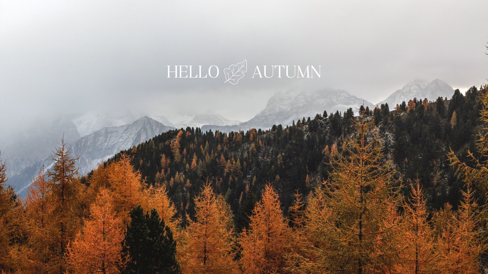 Desktop Autumn Minimalist Wallpapers - Wallpaper Cave