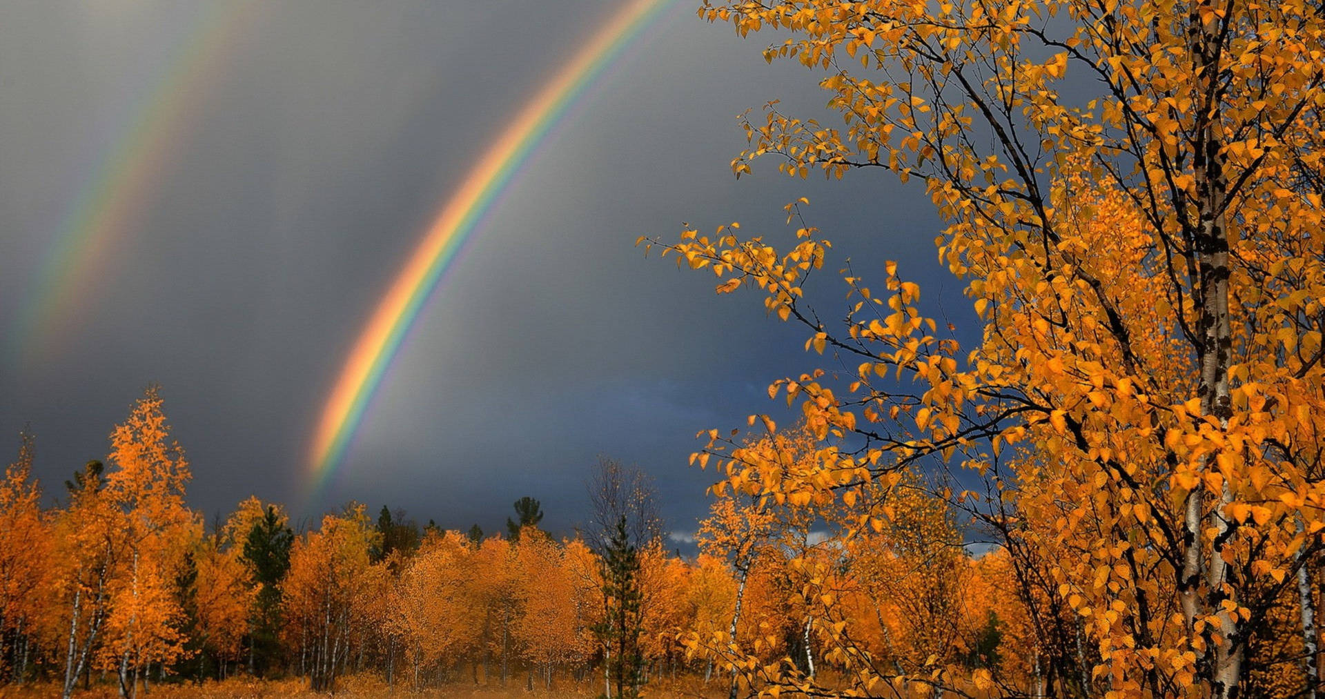 Rainy Autumn Nature Wallpapers - Wallpaper Cave