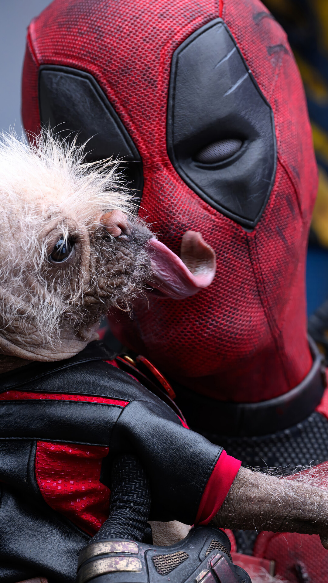 Deadpool And His Dog Wallpapers - Wallpaper Cave