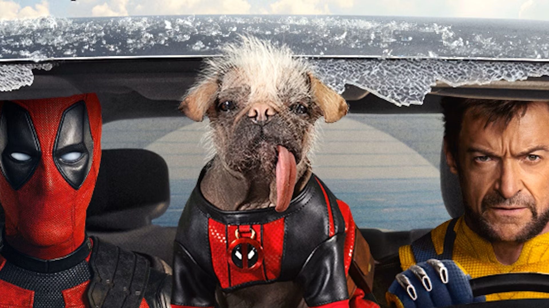 Deadpool And His Dog Wallpapers - Wallpaper Cave