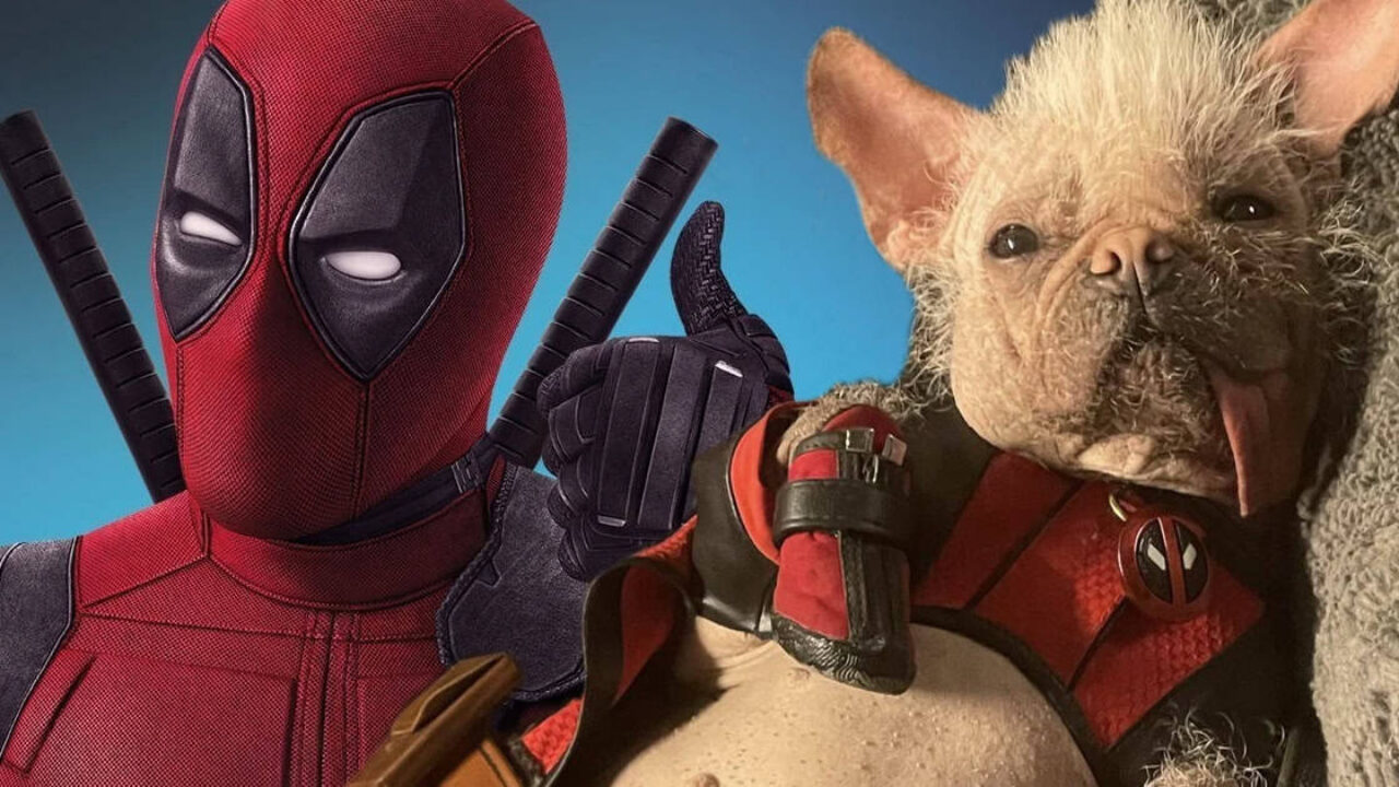 Deadpool And His Dog Wallpapers - Wallpaper Cave
