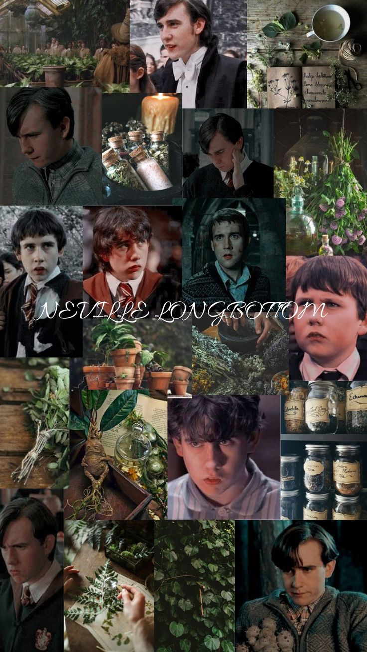Cute Neville Longbottom Wallpapers - Wallpaper Cave