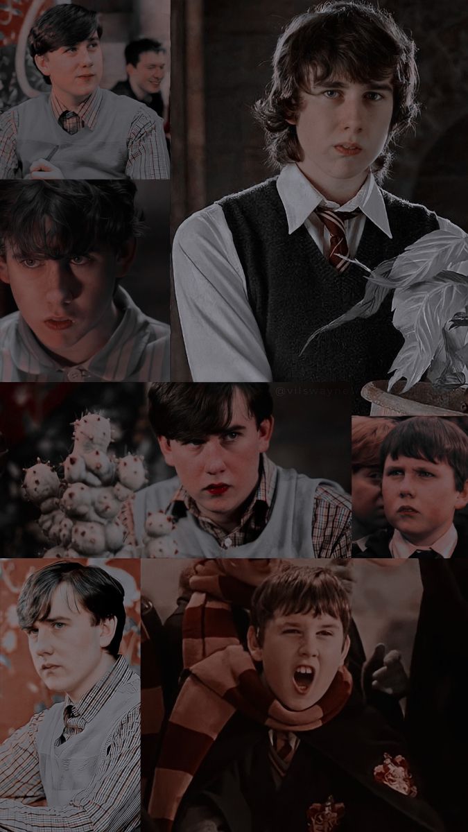 Cute Neville Longbottom Wallpapers - Wallpaper Cave