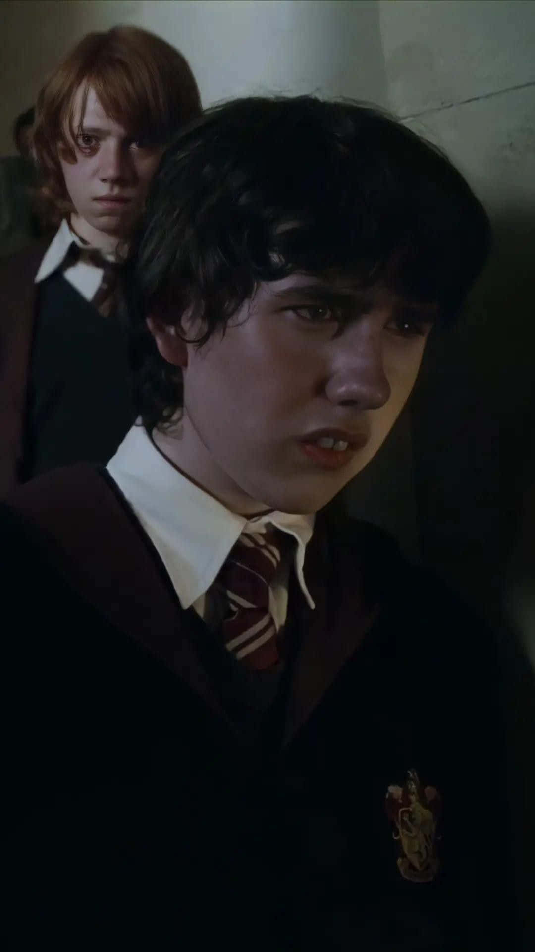 Cute Neville Longbottom Wallpapers - Wallpaper Cave