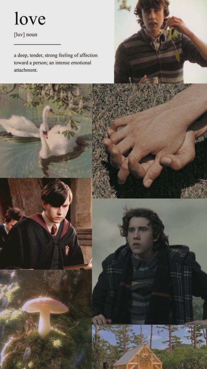 Cute Neville Longbottom Wallpapers - Wallpaper Cave