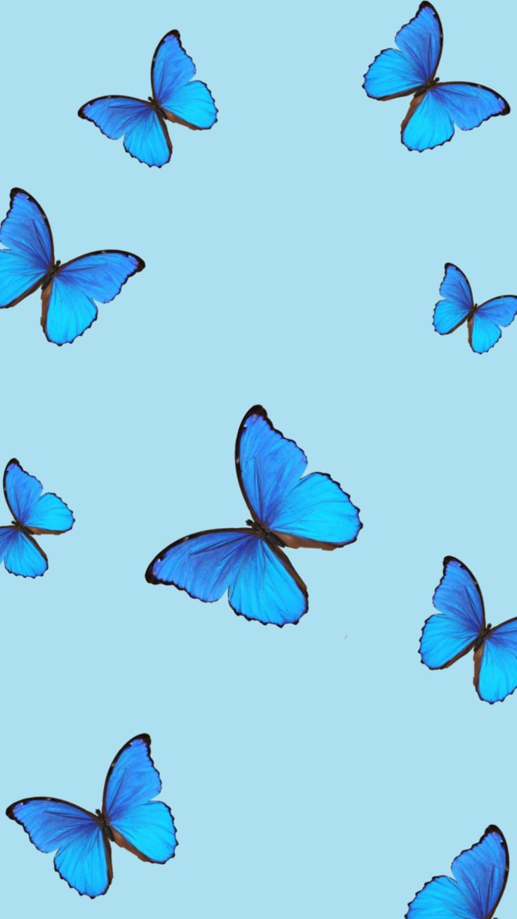 Blue Preppy Butterfly Wallpapers - Wallpaper Cave