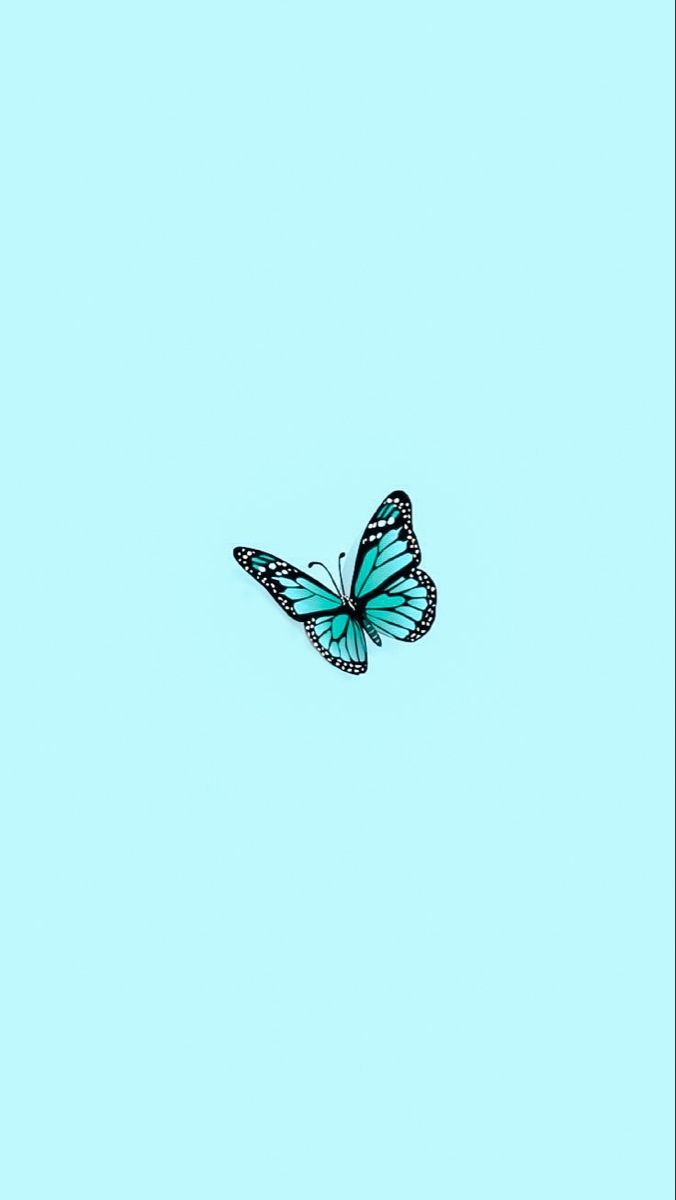 Blue Preppy Butterfly Wallpapers - Wallpaper Cave