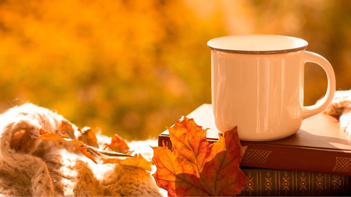 Cozy Autumn Book Wallpapers - Wallpaper Cave