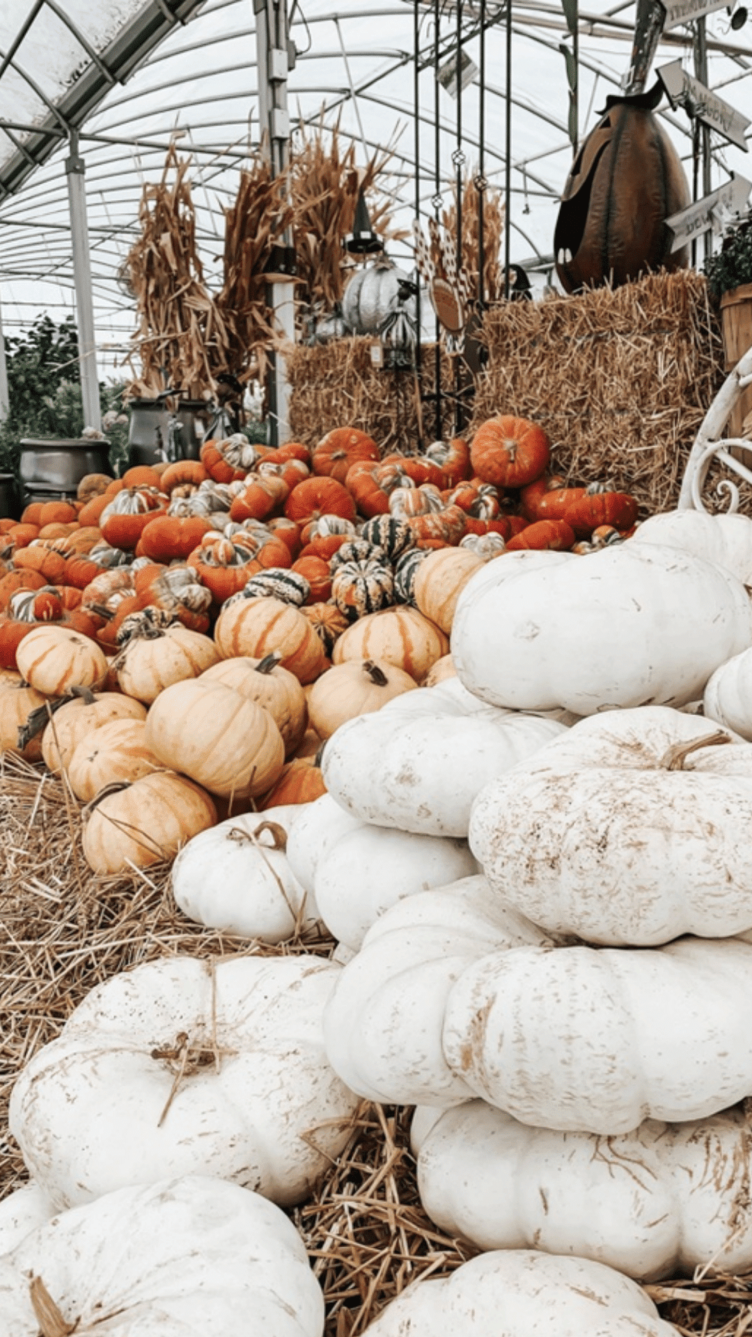 Spooky Season Fall Wallpapers - Wallpaper Cave