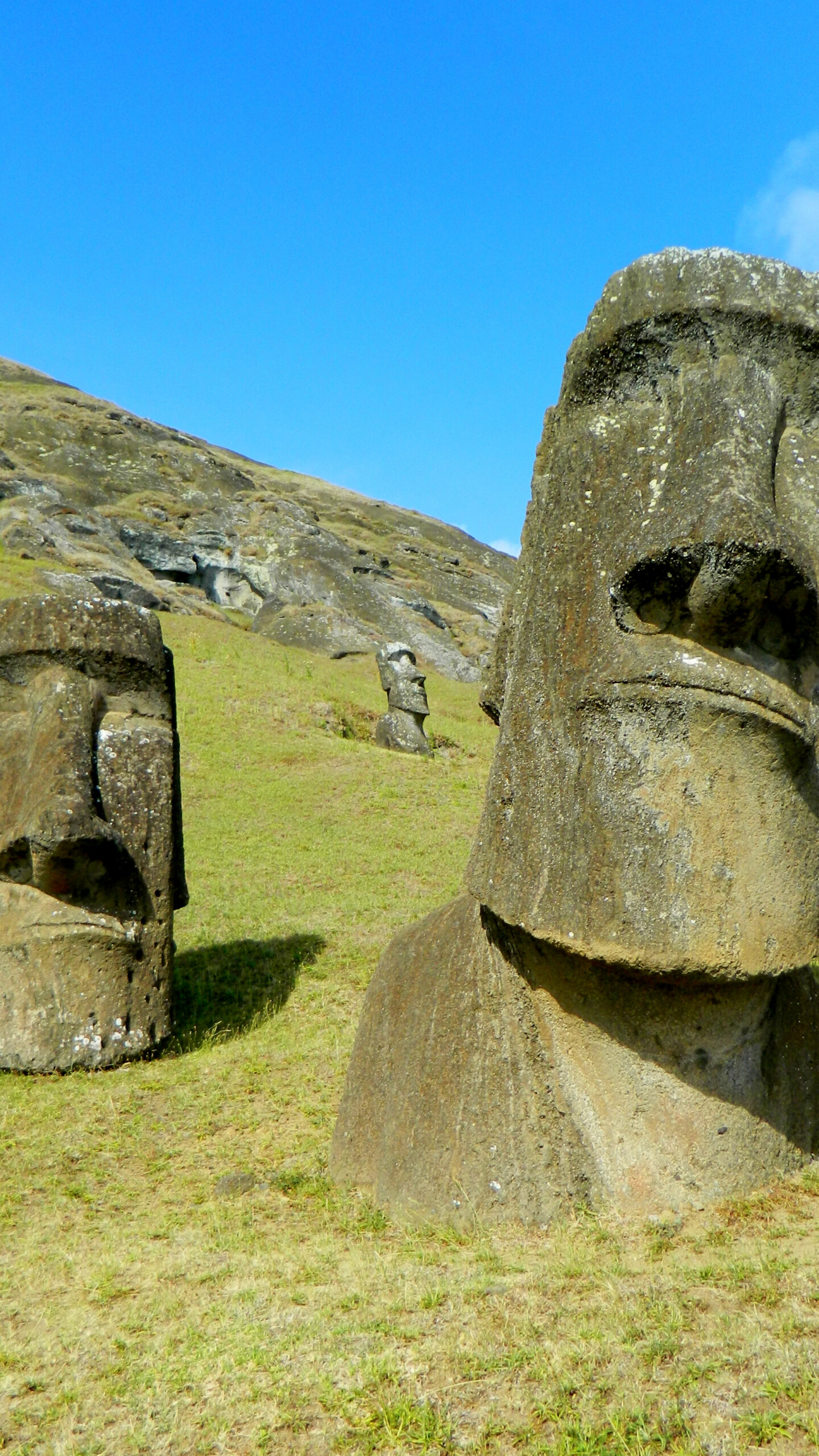 Fondo De Pantalla De Moai Imágenes De Moais Libres De Derechos