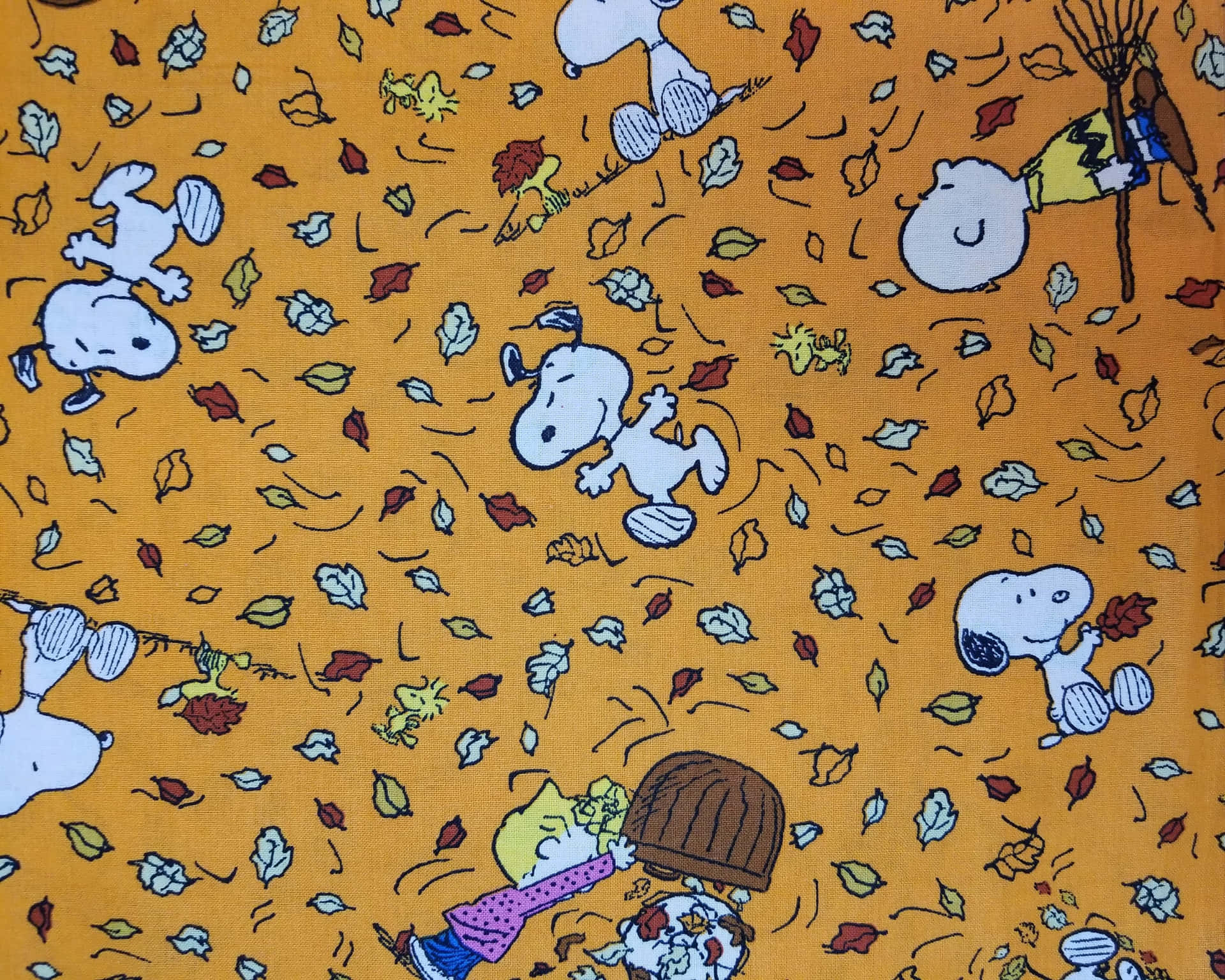 Snoopy Autumn Desktop Wallpapers - Wallpaper Cave