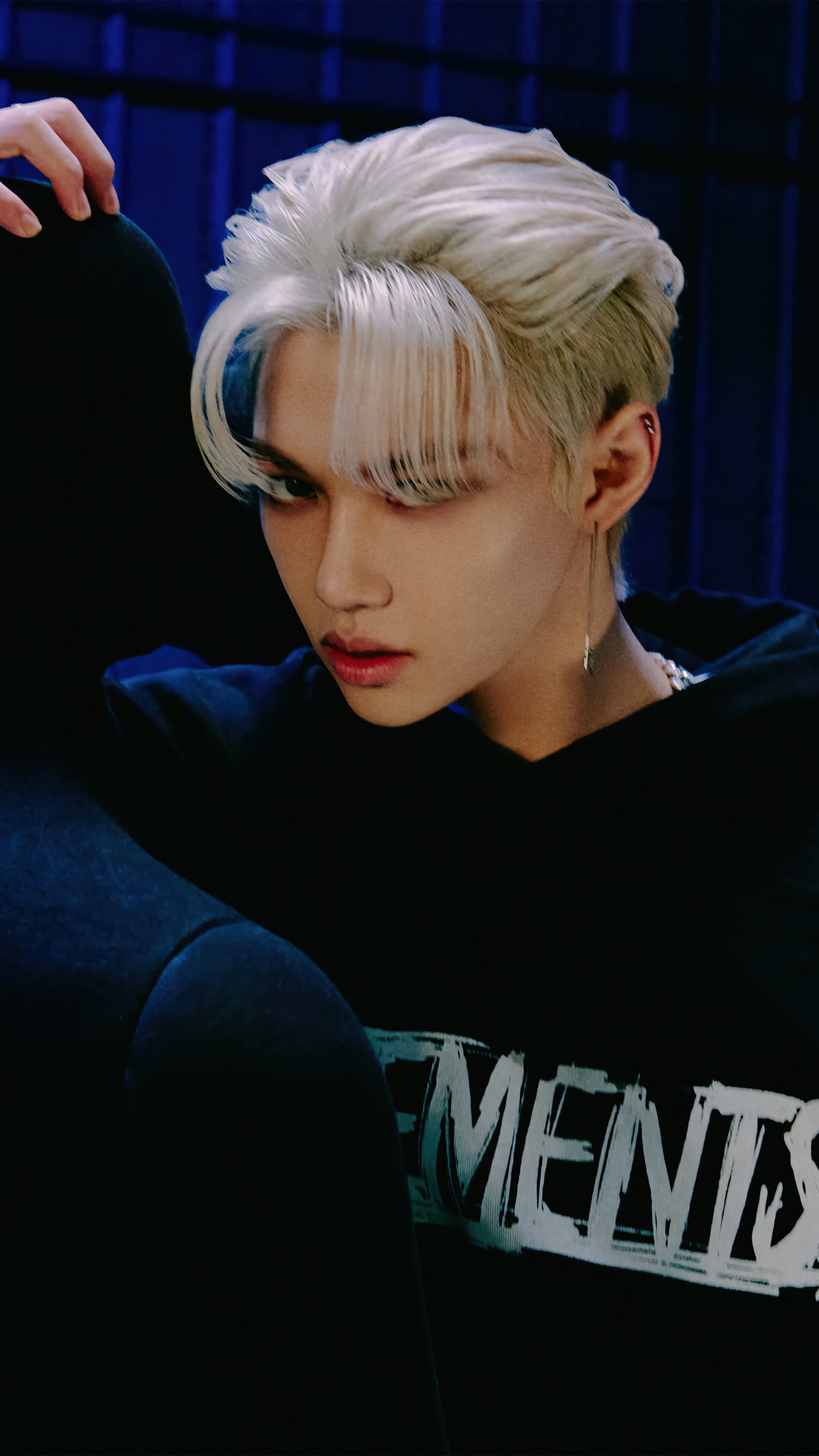 Felix Wallpapers - Wallpaper Cave