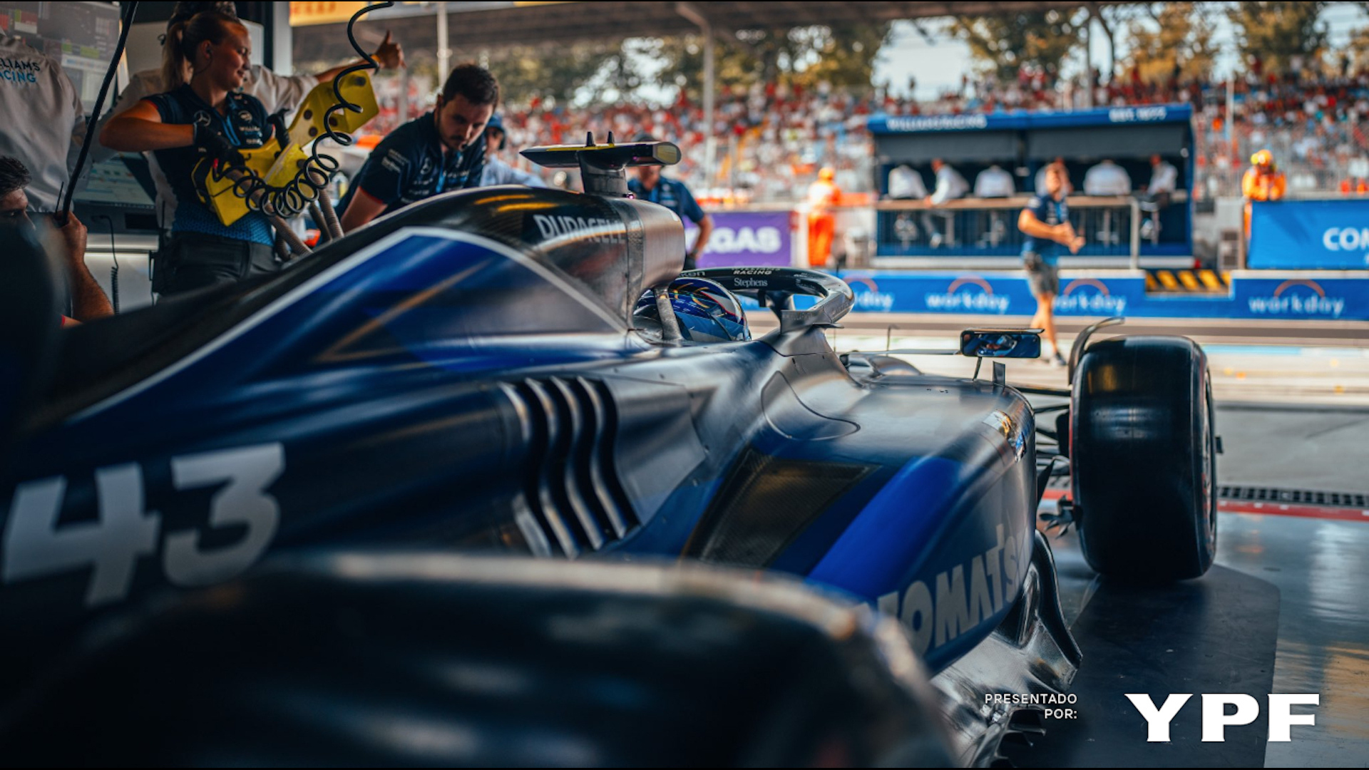 Franco Colapinto Wallpapers - Wallpaper Cave