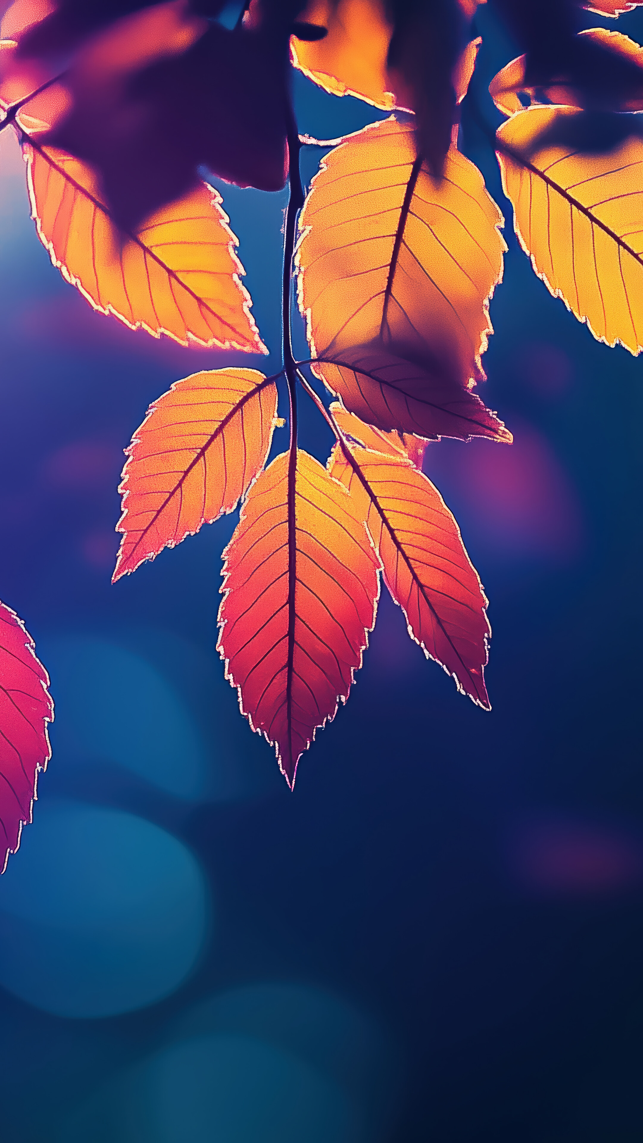 Autumn Vertical 4k Wallpapers - Wallpaper Cave