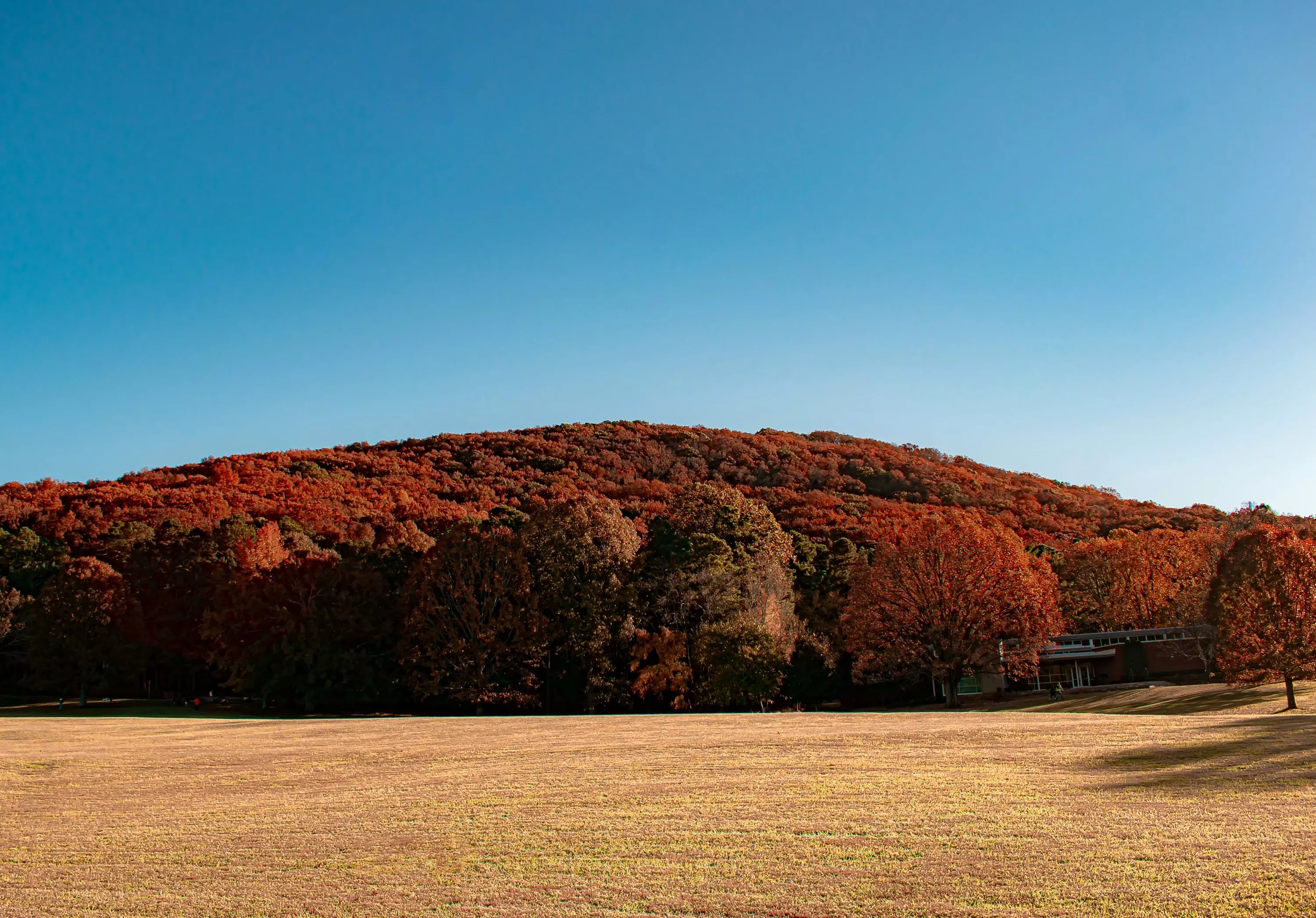 Field Autumn Wallpapers - Wallpaper Cave