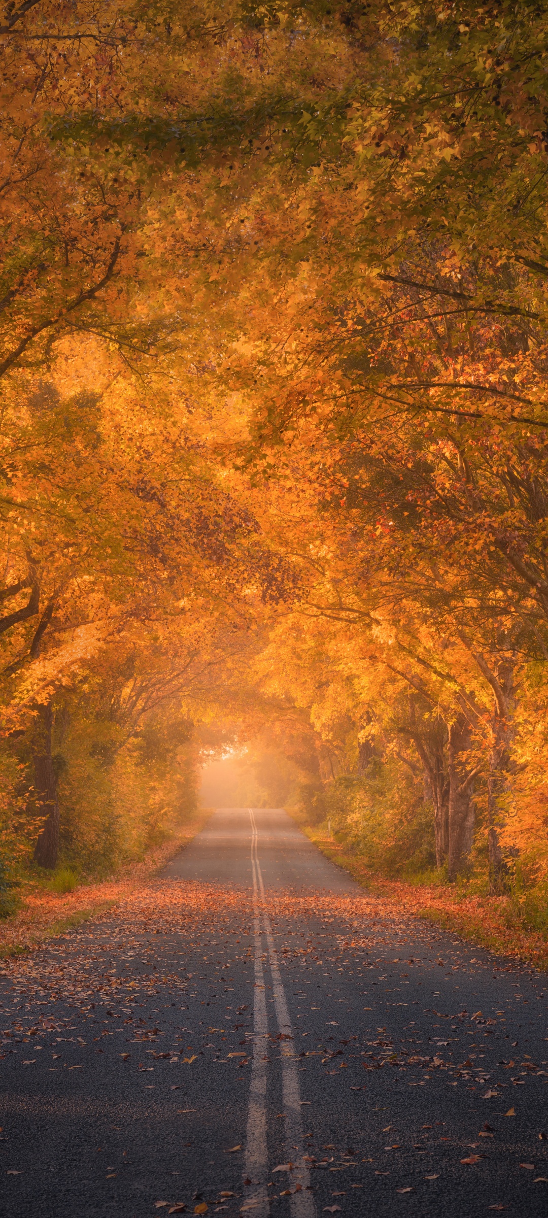 Autumn Vertical 4k Wallpapers - Wallpaper Cave