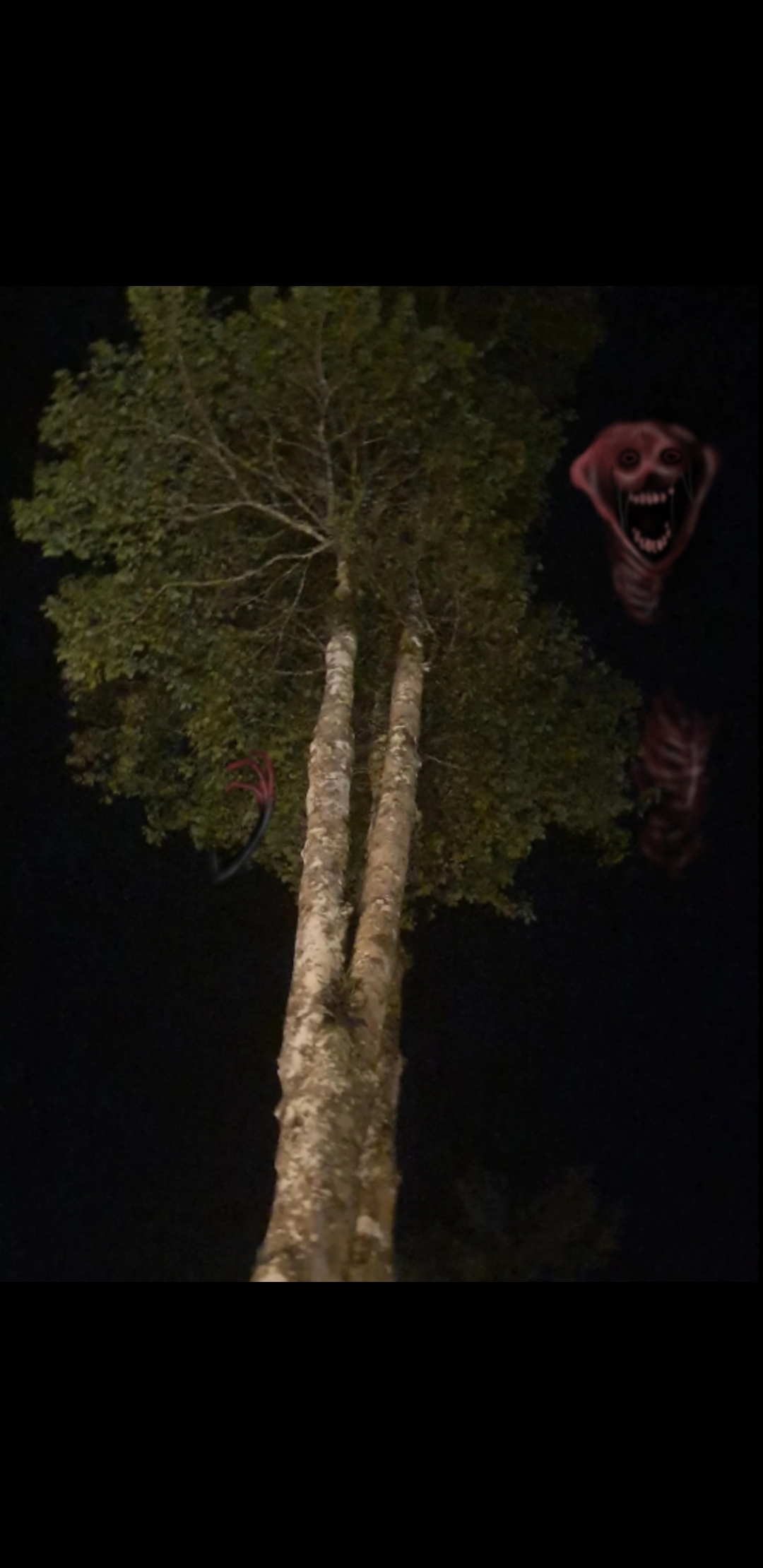 The Boiled One Phenomenon Wallpapers - Wallpaper Cave