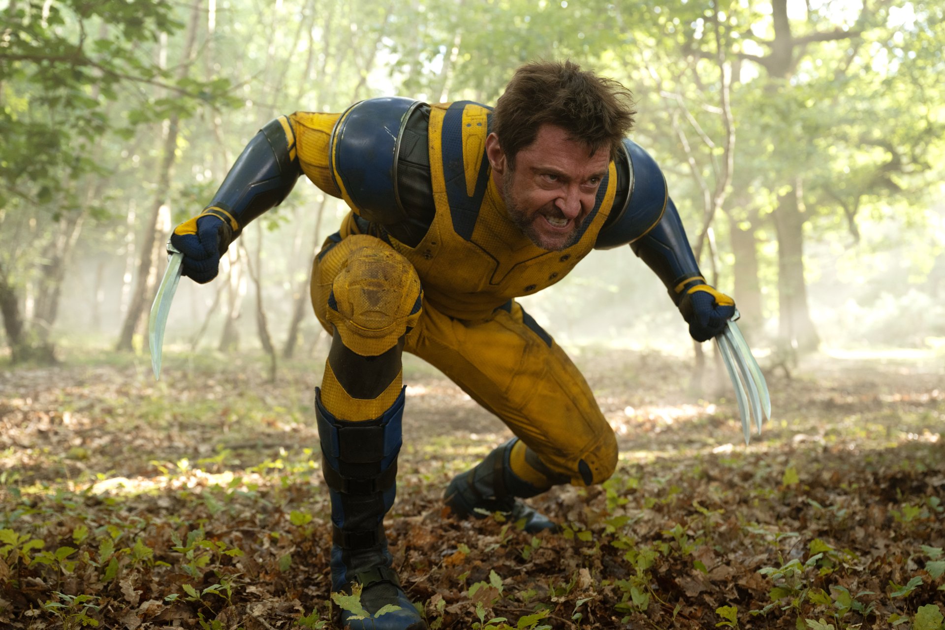 Wolverine Yellow And Blue Suit Wallpapers - Wallpaper Cave
