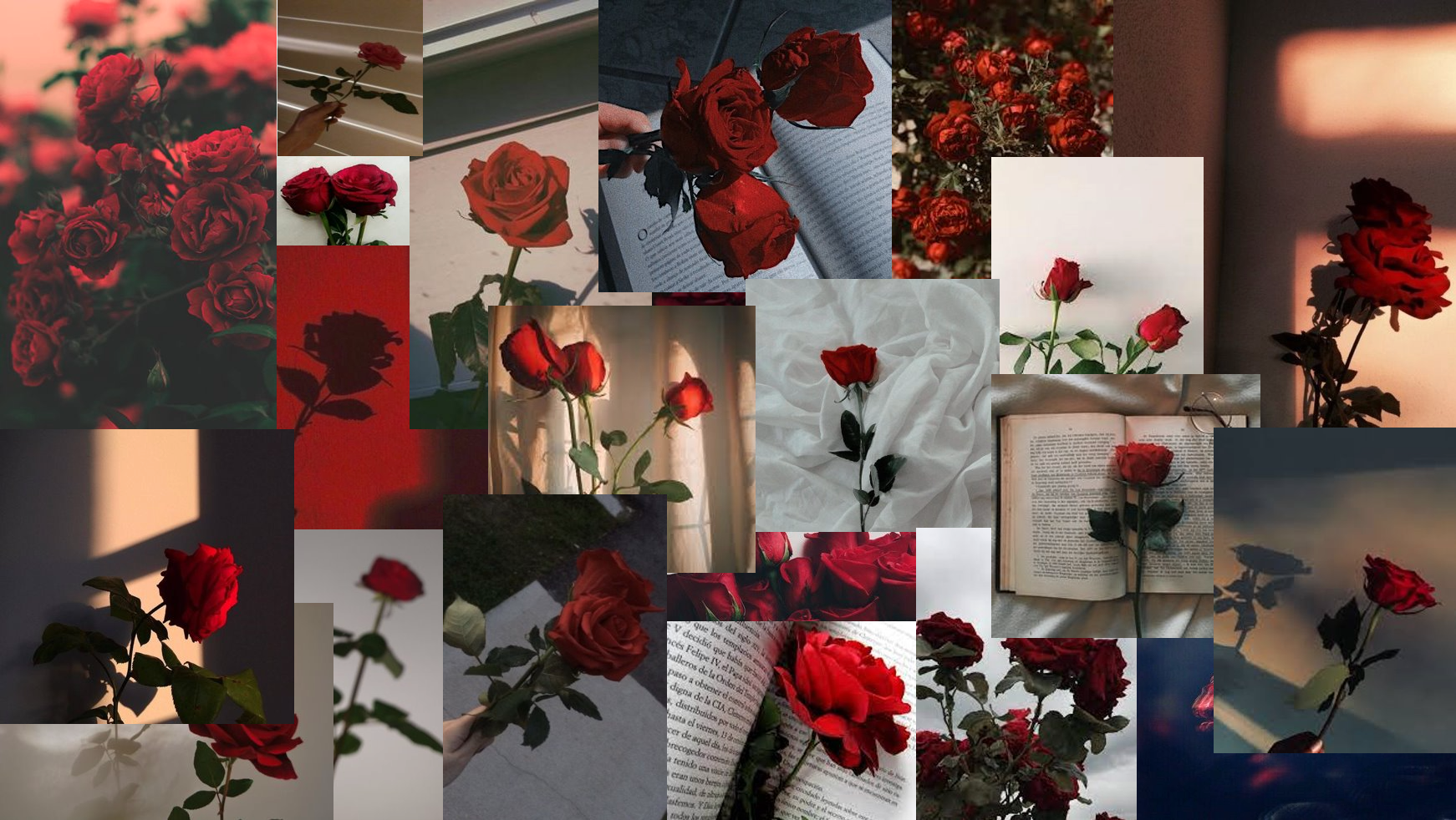 Rose Flower Collage Wallpapers - Wallpaper Cave