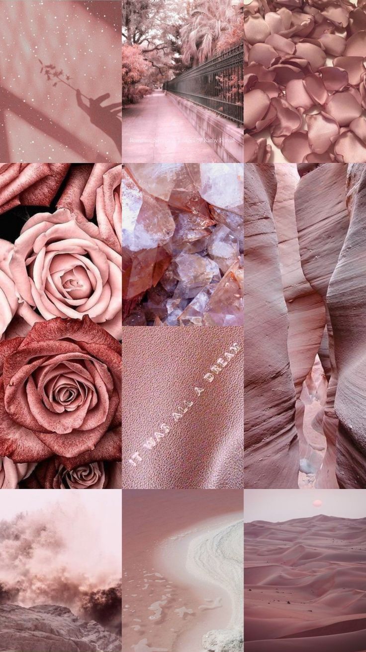 Rose Flower Collage Wallpapers - Wallpaper Cave