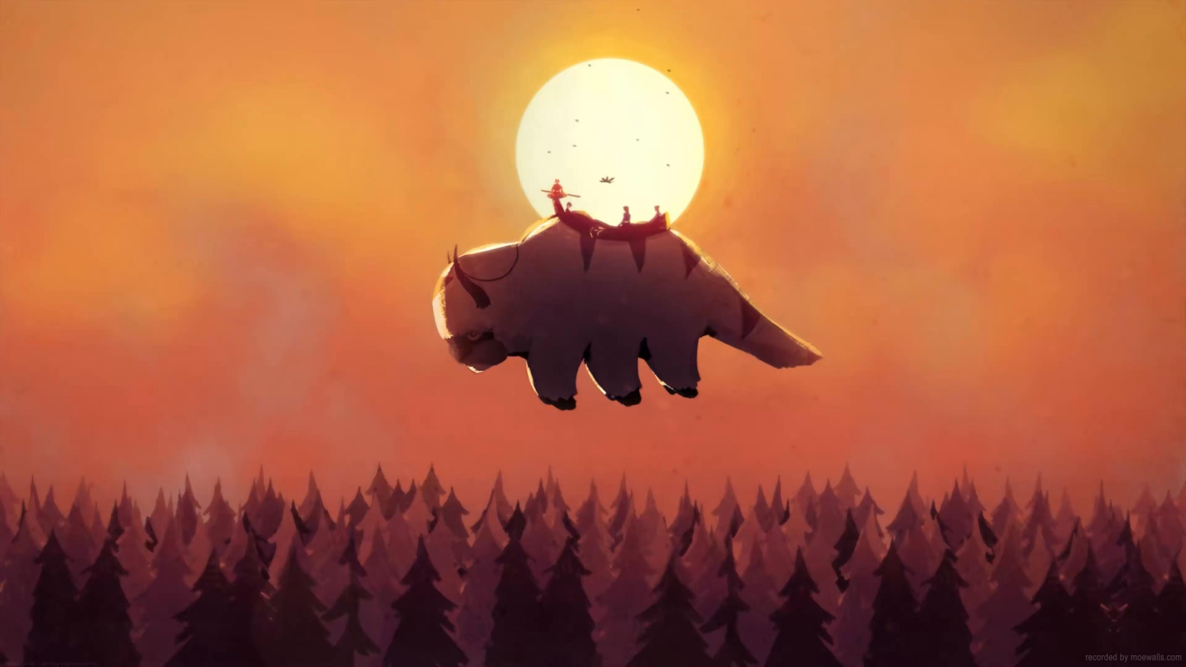 Appa Wallpapers - Wallpaper Cave