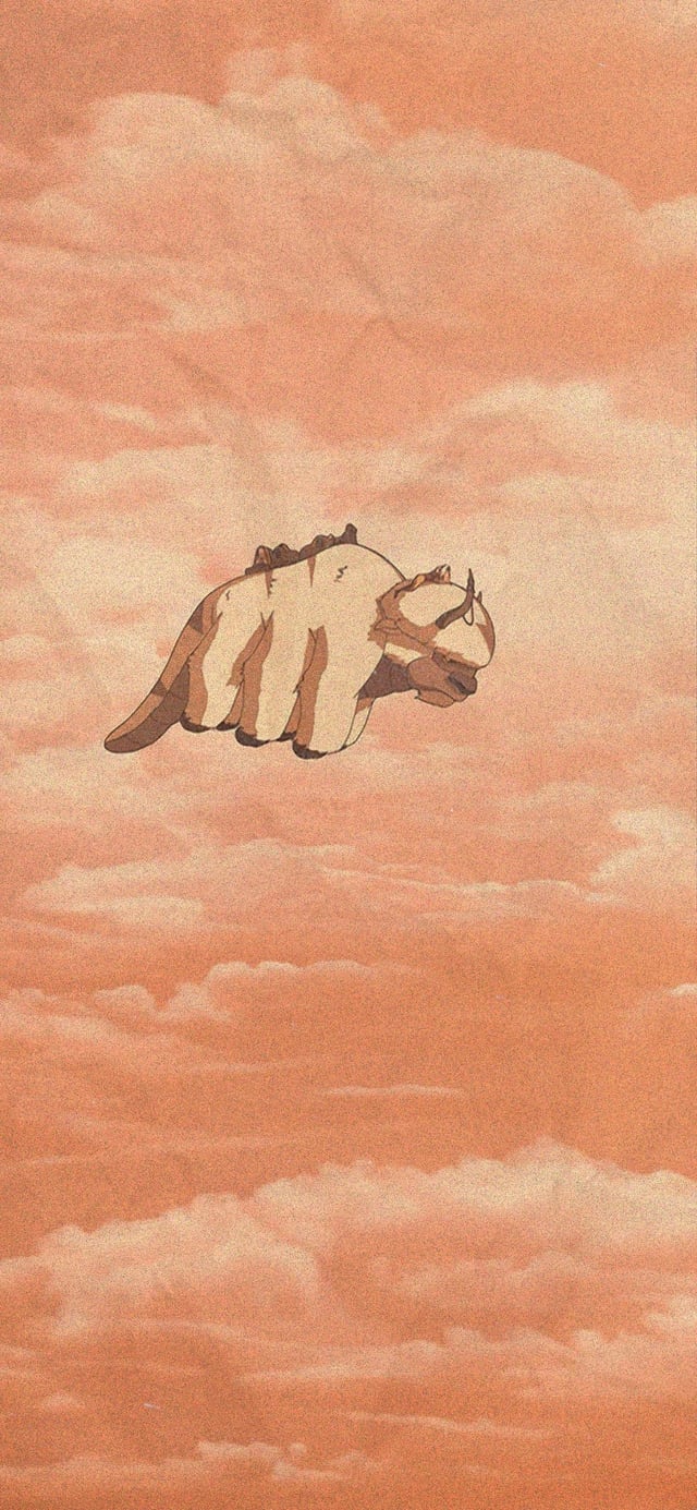 Appa Wallpapers - Wallpaper Cave