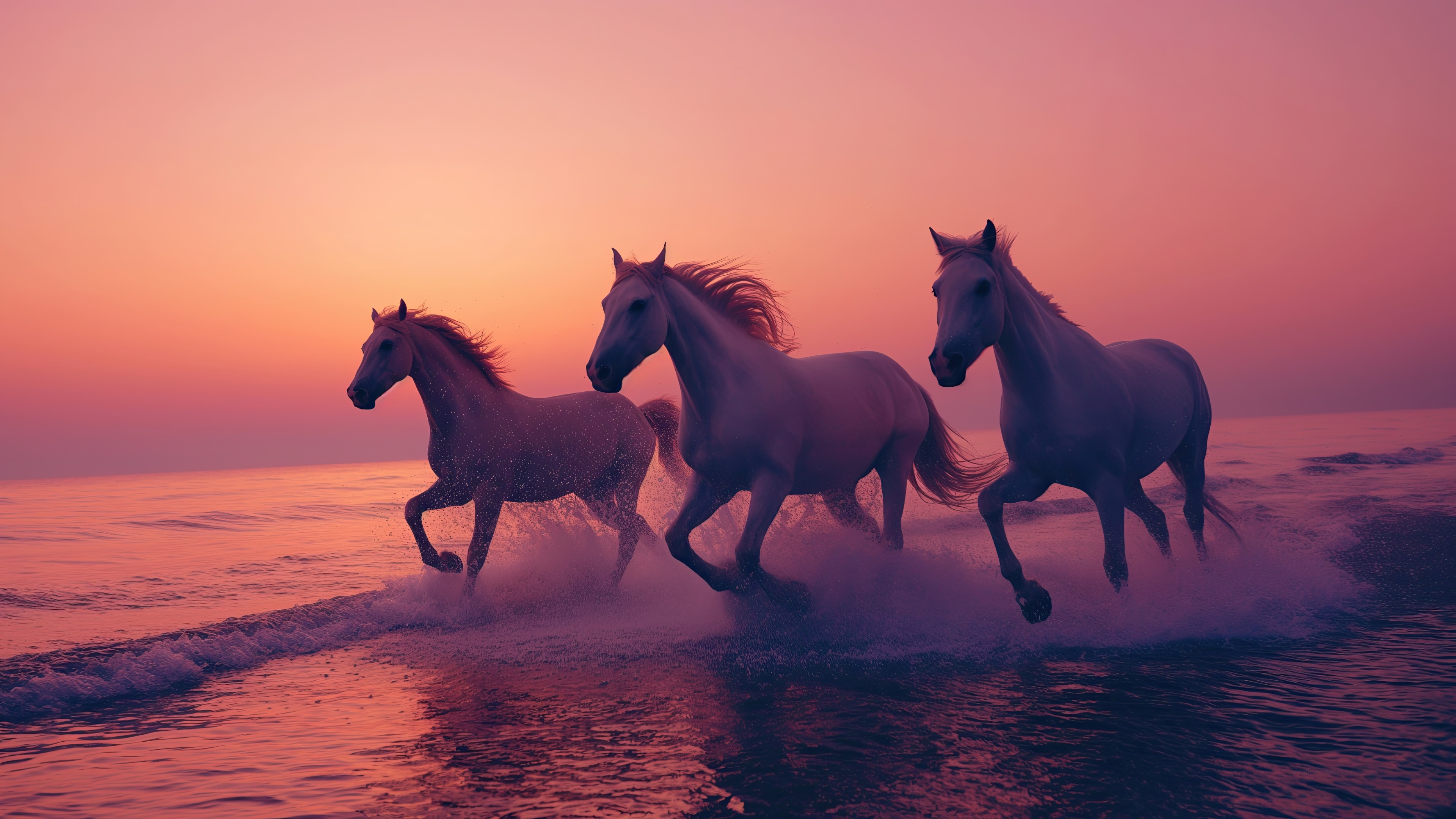 Horses 4k Wallpapers - Wallpaper Cave