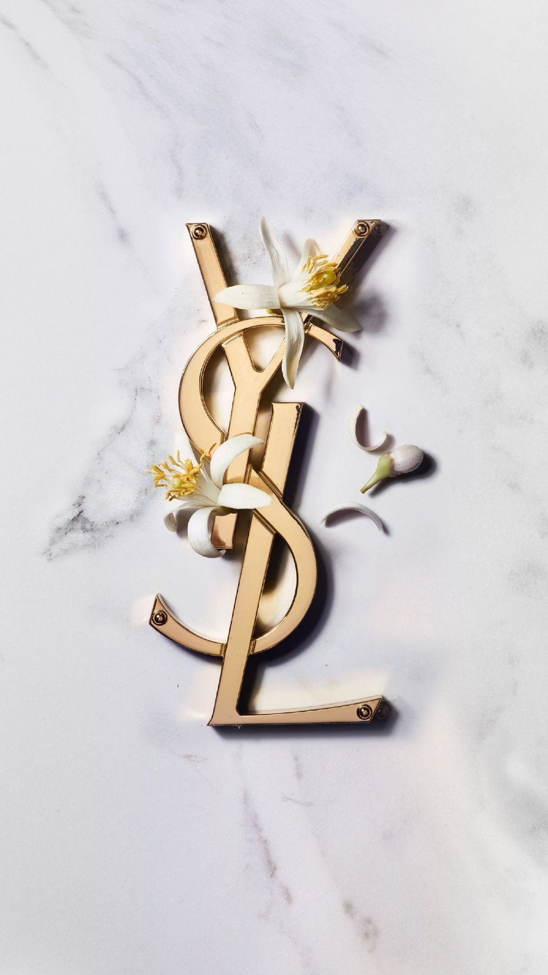 YSL Wallpapers - Wallpaper Cave