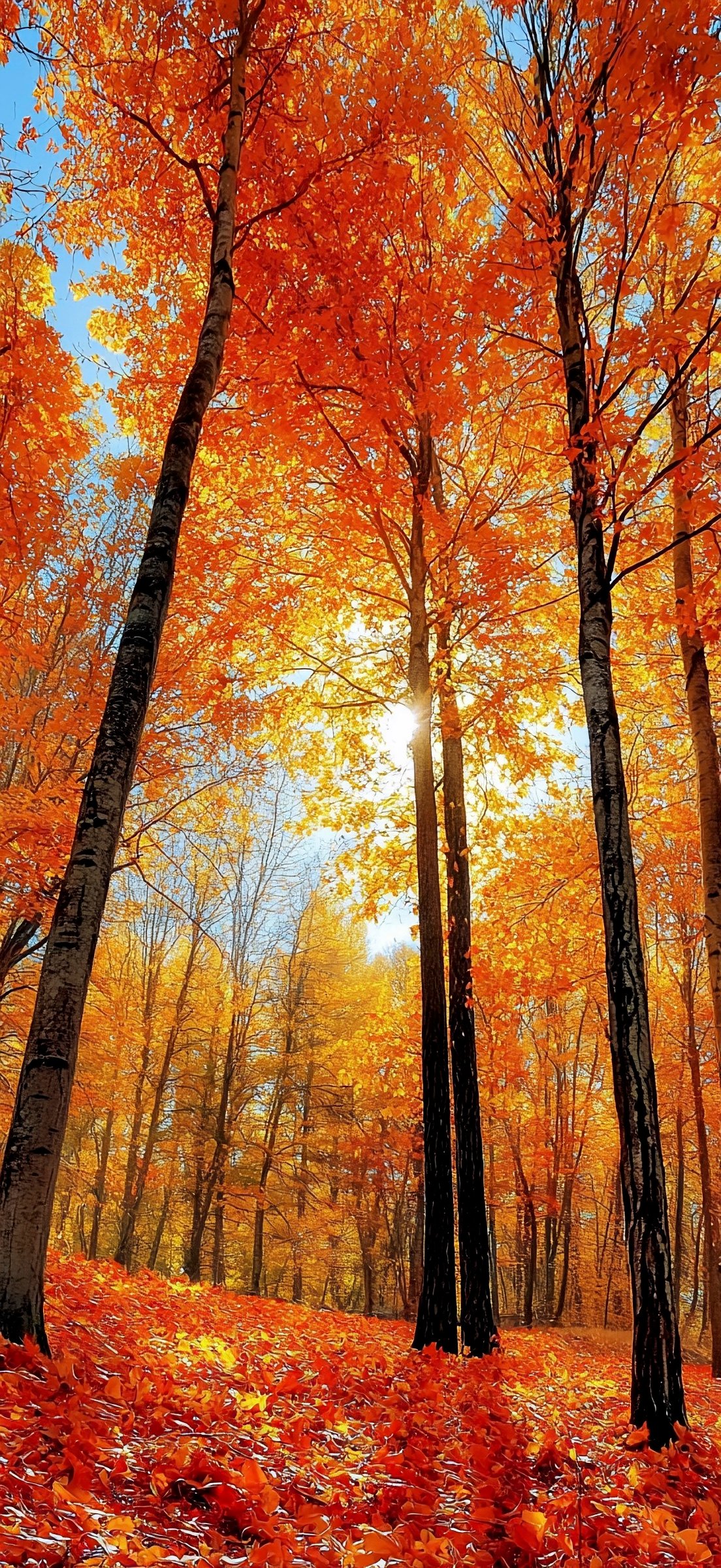 Warm iPhone Wallpapers - Wallpaper Cave