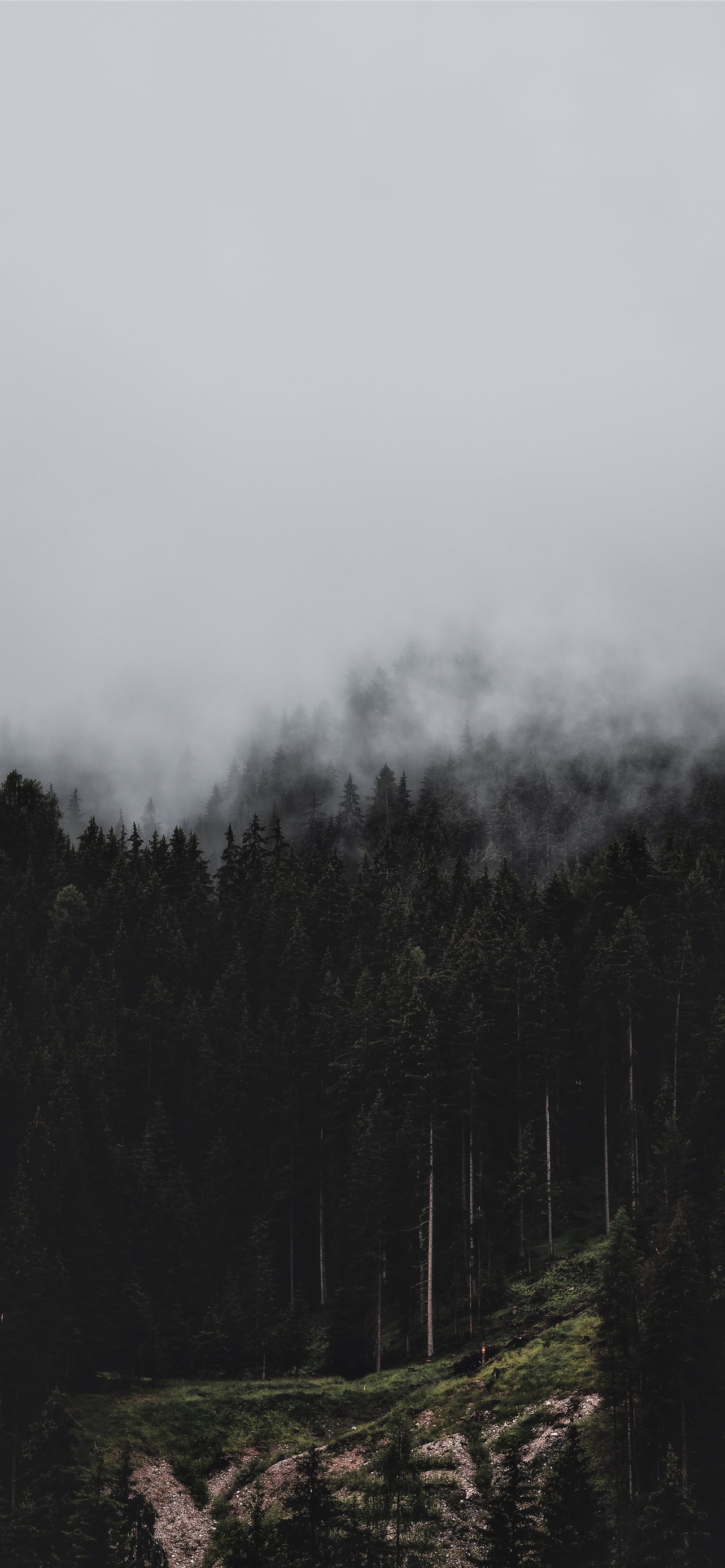 Fog iPhone Wallpapers - Wallpaper Cave