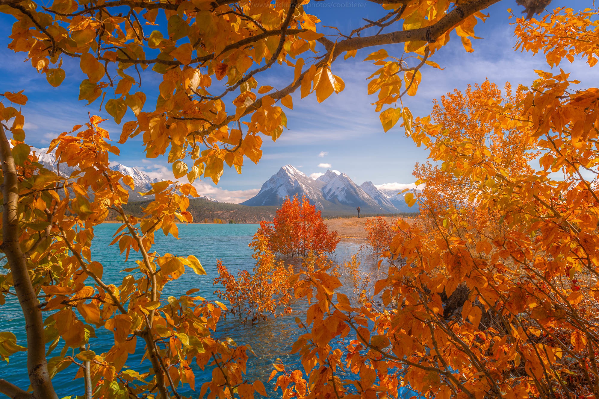 Canada Fall Wallpapers - Wallpaper Cave