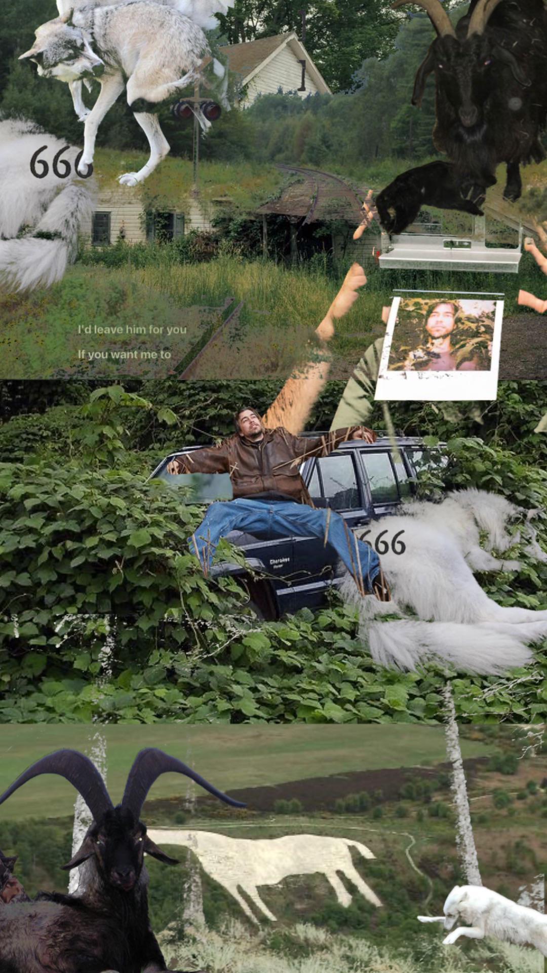 Alex G Wallpapers - Wallpaper Cave