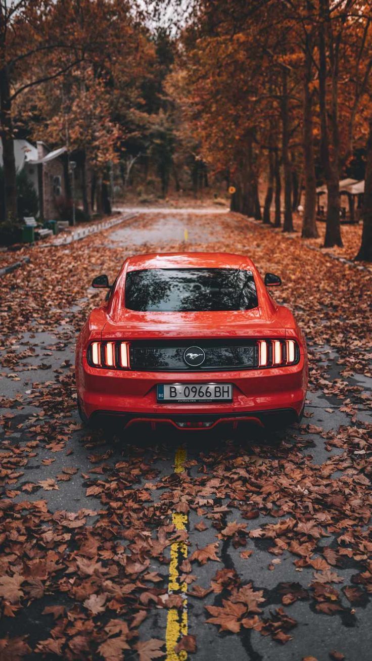 Autumn Car iPhone Wallpapers - Wallpaper Cave