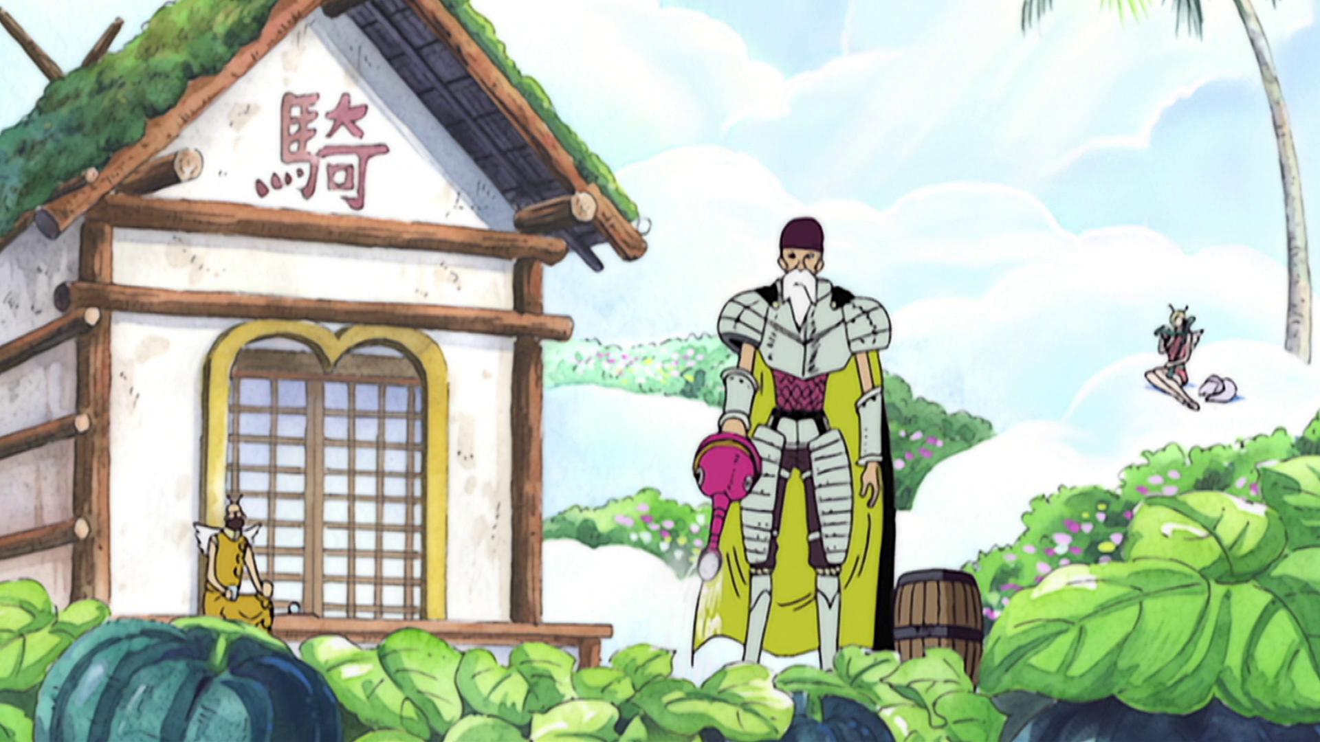 One Piece Gan Fall Wallpapers - Wallpaper Cave