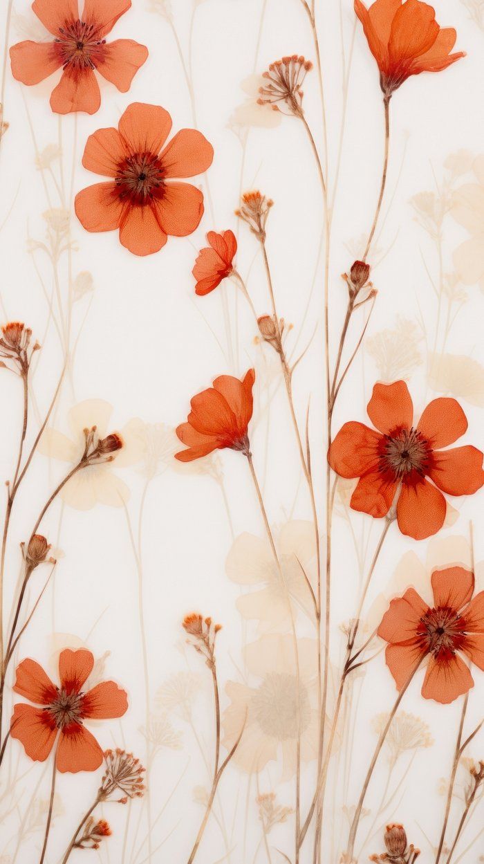 Wildflower Stems Wallpapers - Wallpaper Cave