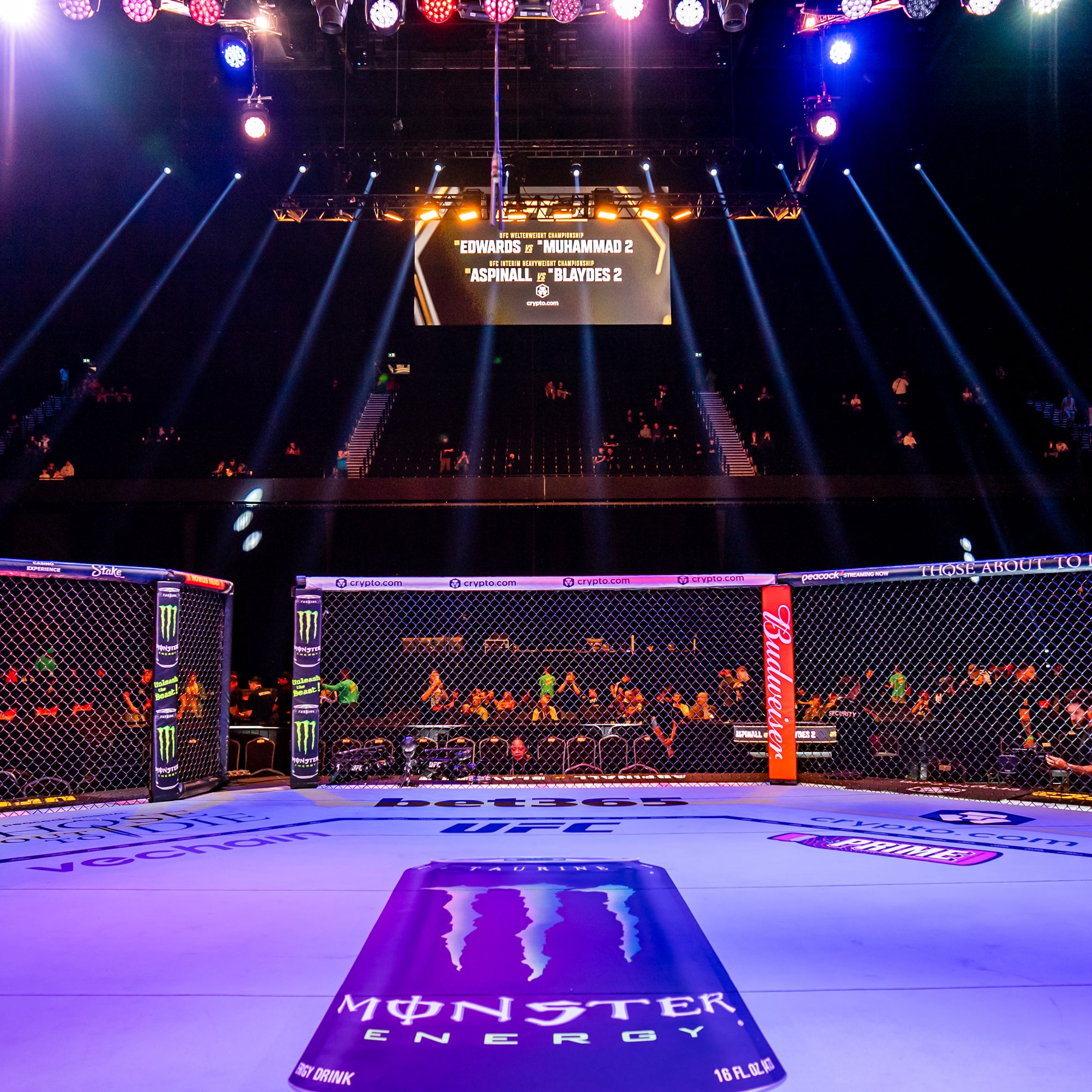MMA Cage Wallpapers - Wallpaper Cave