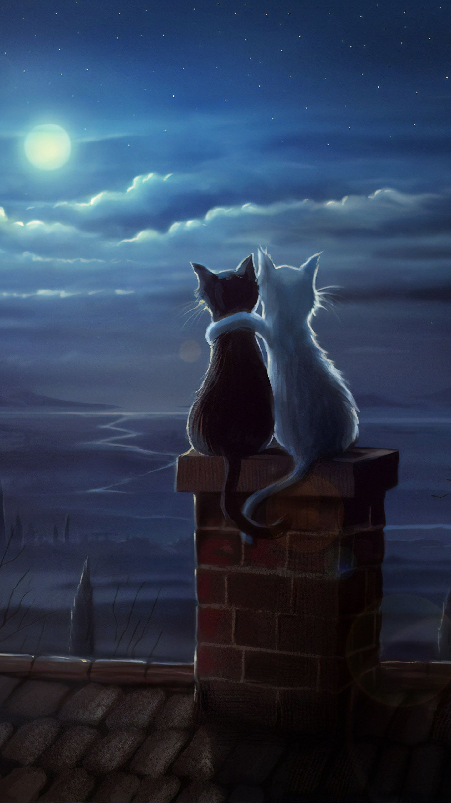 Two Cats Together Wallpapers - Wallpaper Cave