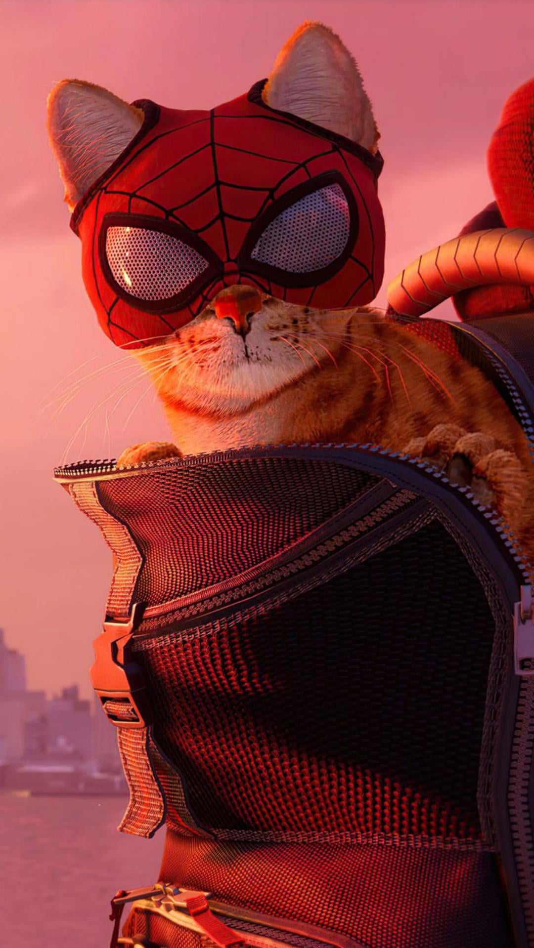 Spider-Man Cat Wallpapers - Wallpaper Cave