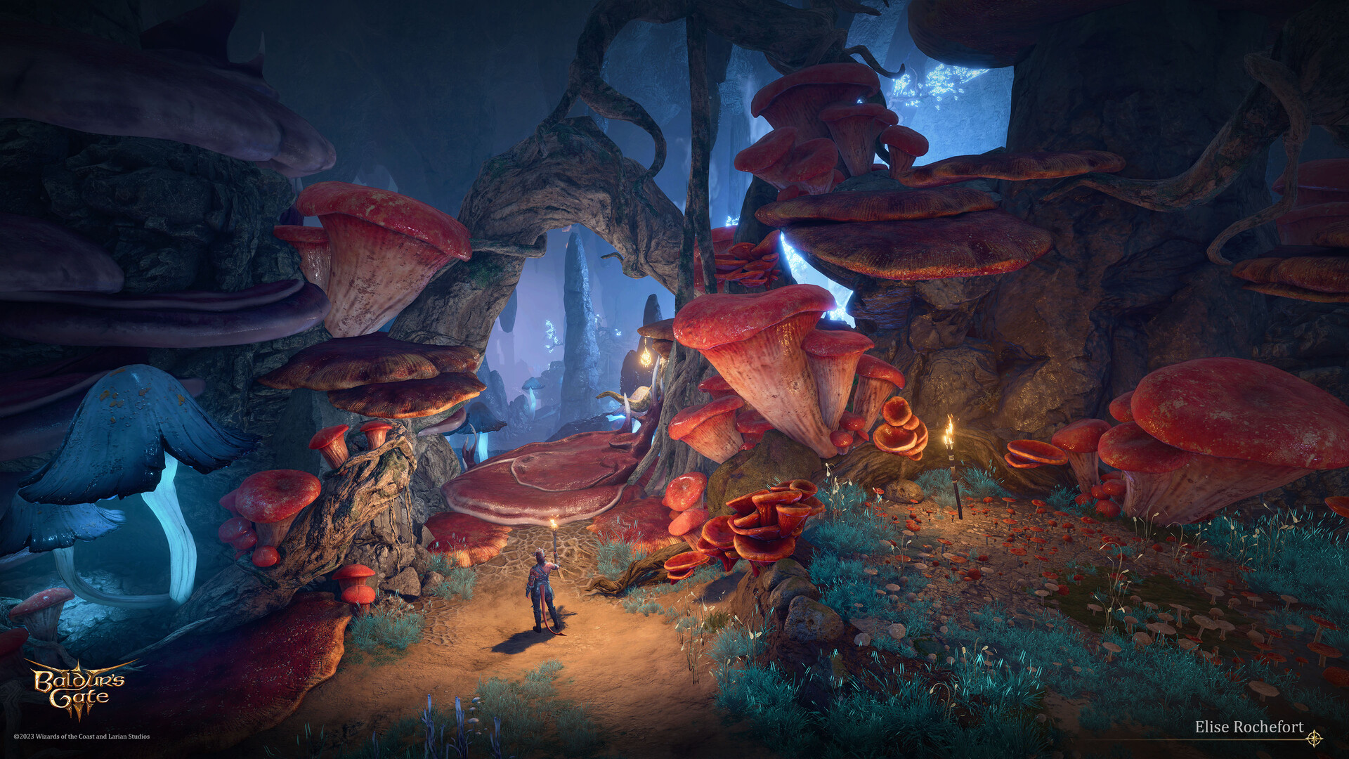 Underdark Wallpapers Wallpaper Cave