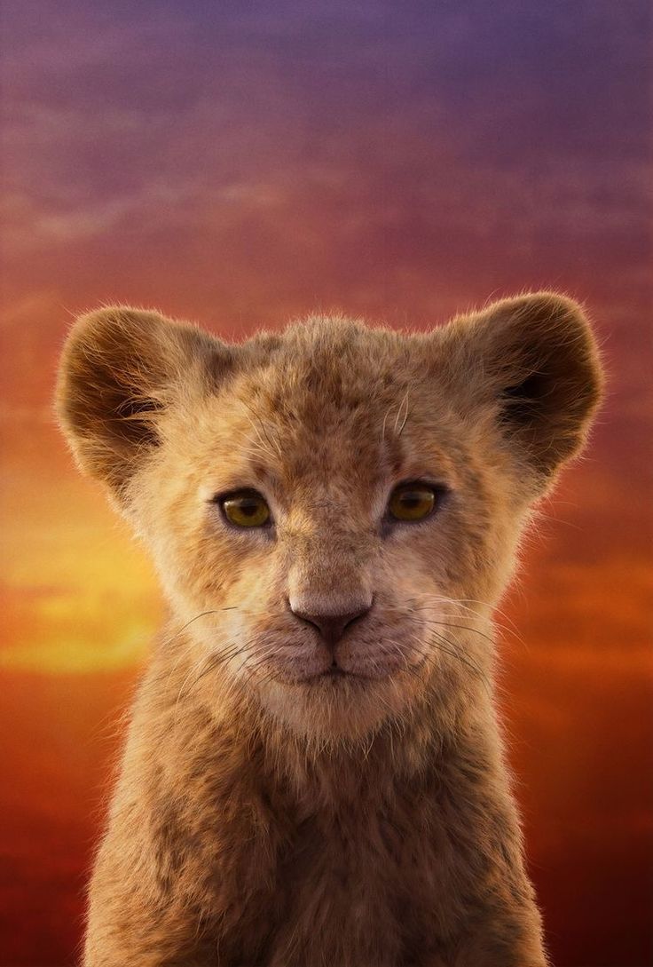 The Lion King Simba Wallpapers - Wallpaper Cave