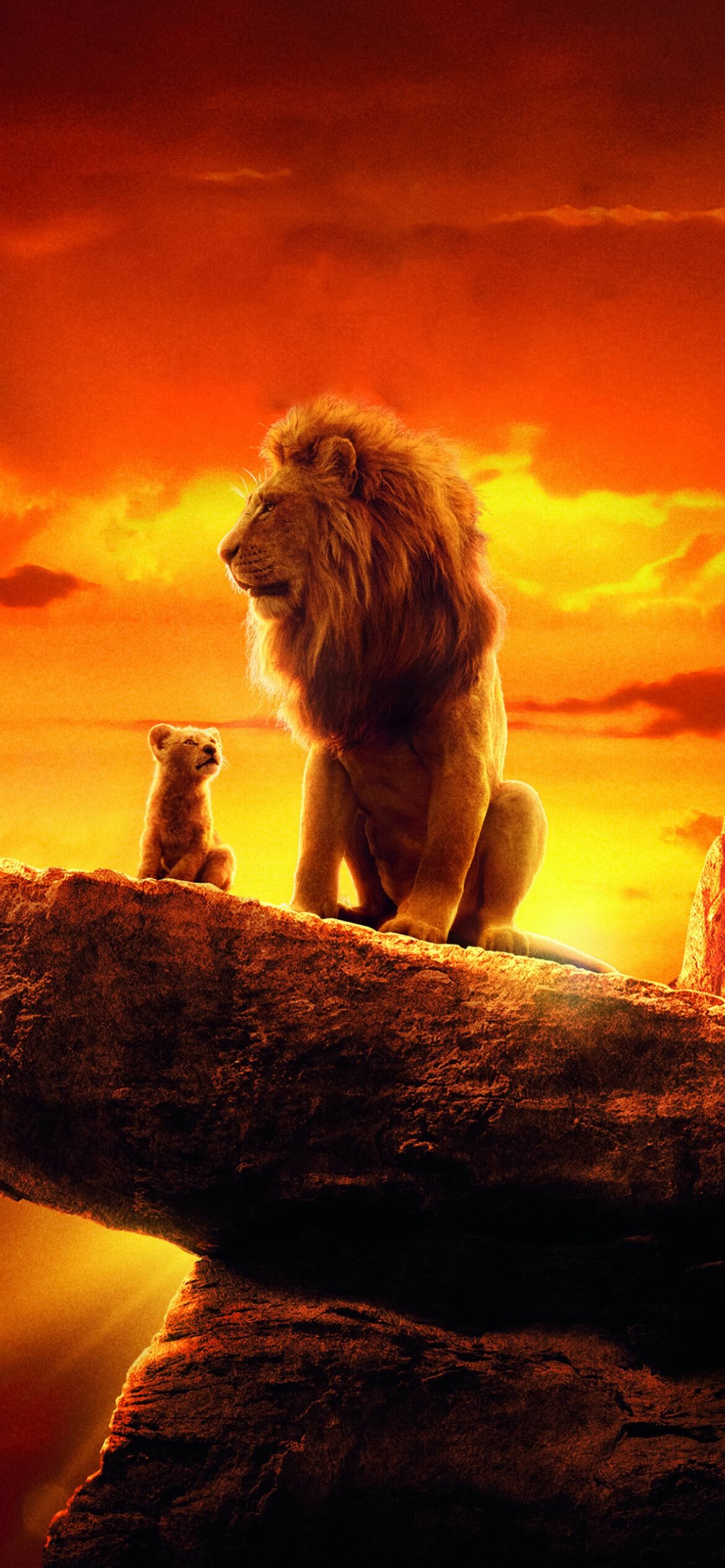 The Lion King Simba Wallpapers - Wallpaper Cave