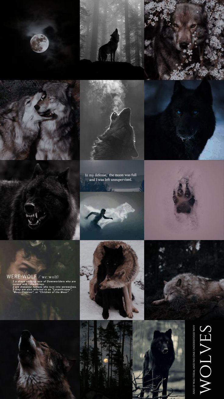 Cute Werewolves Wallpapers - Wallpaper Cave