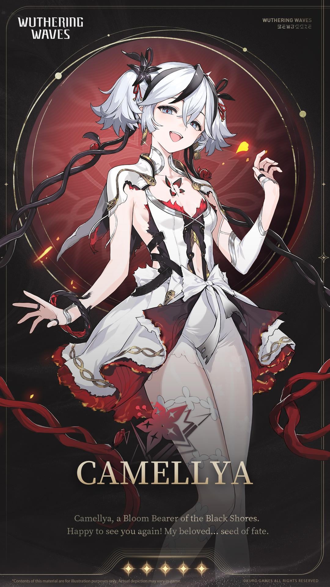 Camellya Wallpapers - Wallpaper Cave