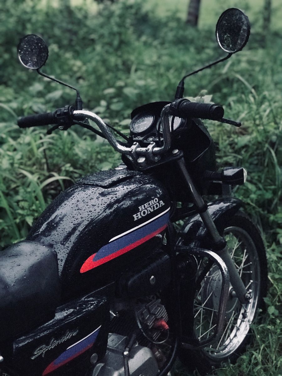 Black Splendor Wallpapers - Wallpaper Cave