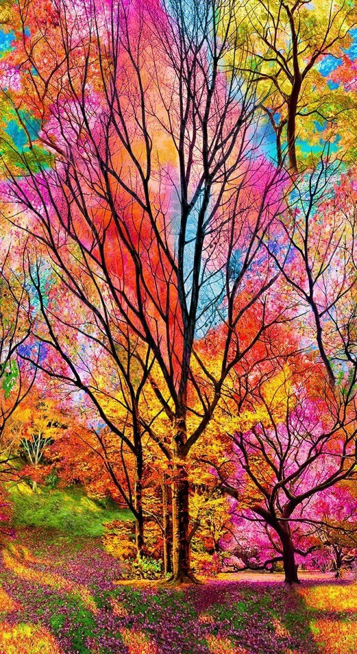 Colorful Trees Wallpapers - Wallpaper Cave
